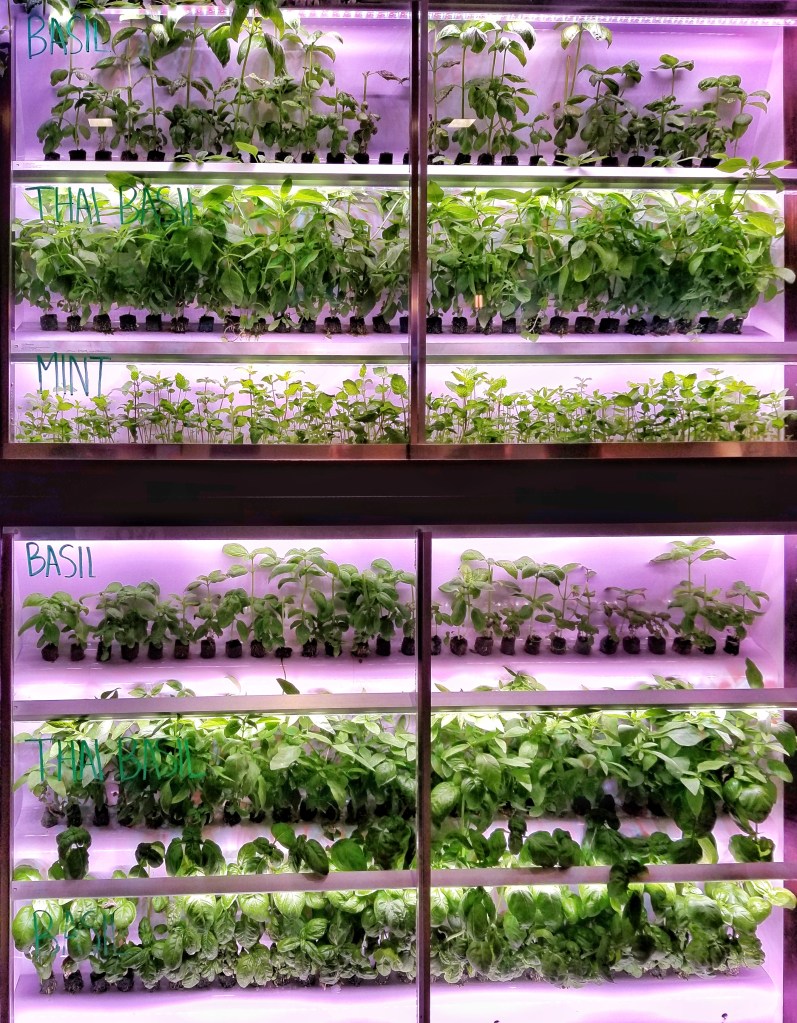 Stone Bridge Pizza & Salad, Midtown Manhattan – Totally Forked